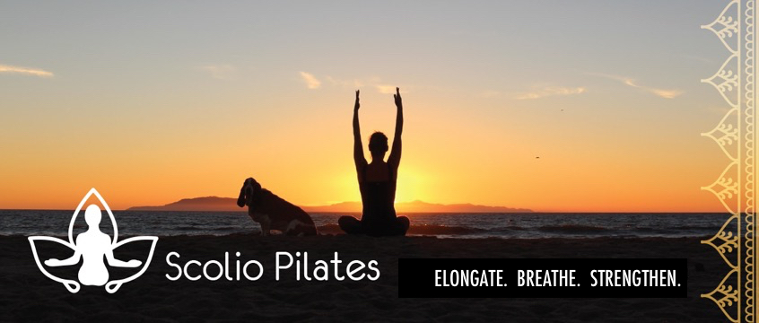 Scolio-Wedges for Scoliosis Exercise - OsteoPilates